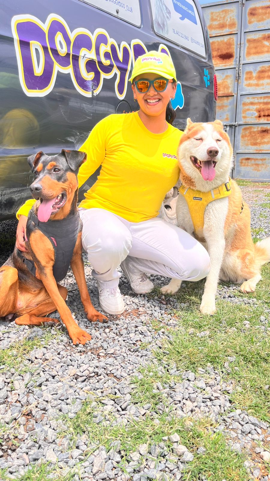 Guía para Manejar la Ansiedad por Separación en Perros - doggydoo.com.mx